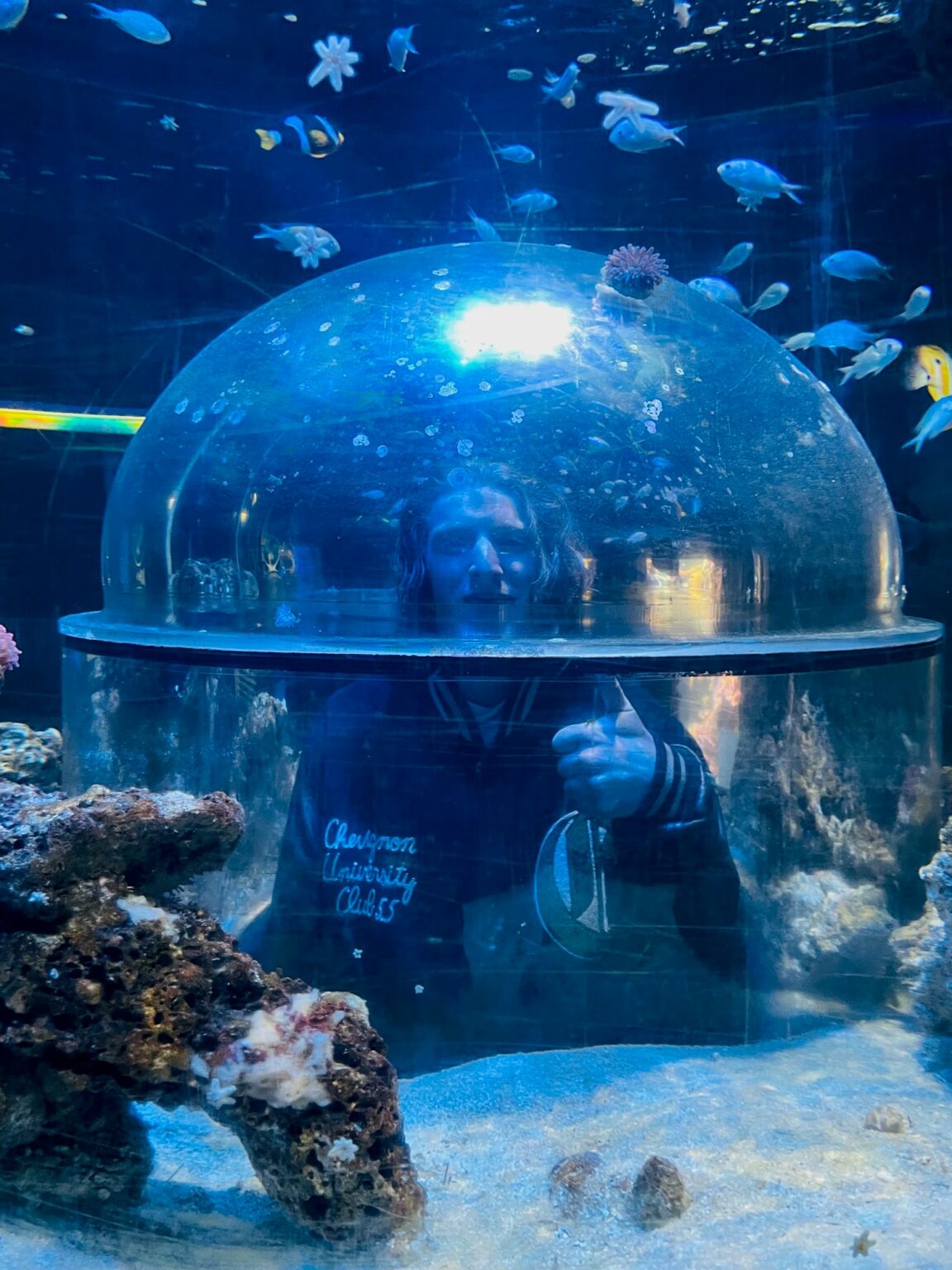 Faszinierende Unterwasserwelten im Sealife - exSAM